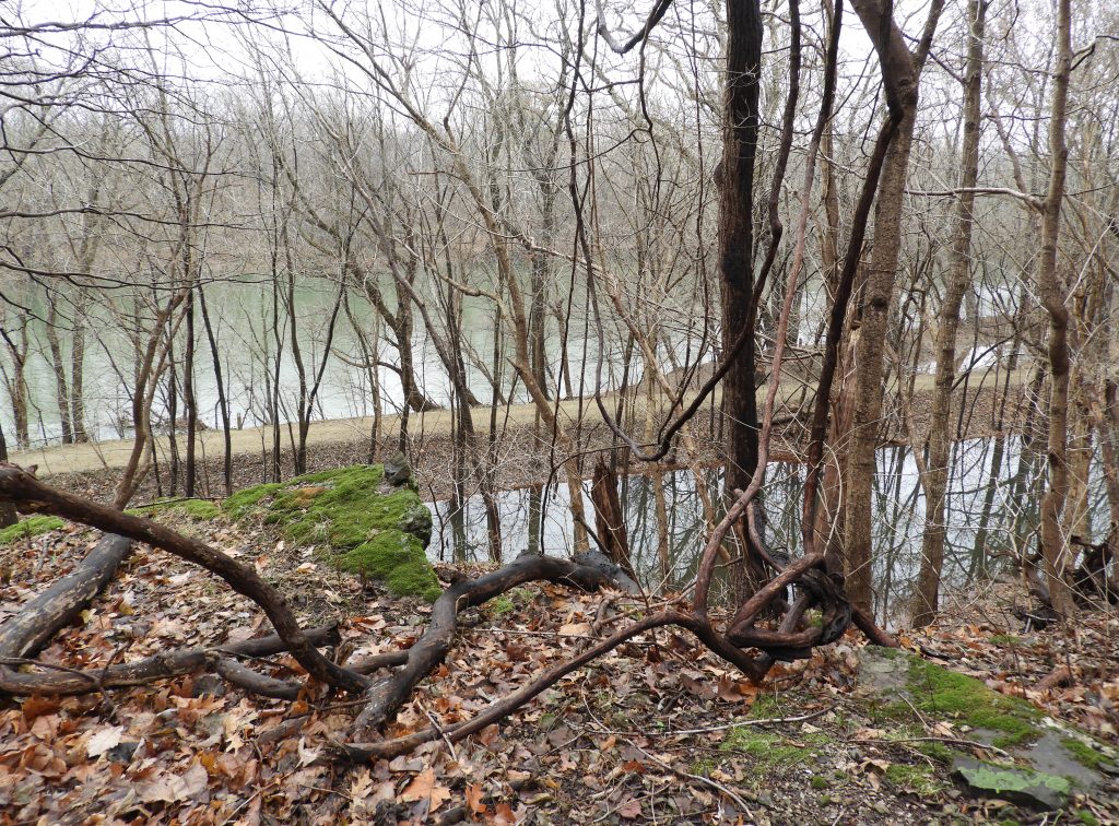 Potomac Marble – C&O Canal Association